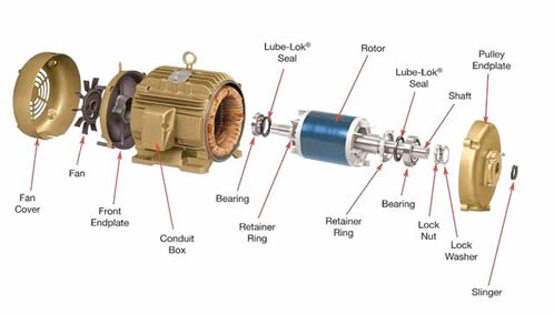 Asynchronny motor • SVETELEKTRO